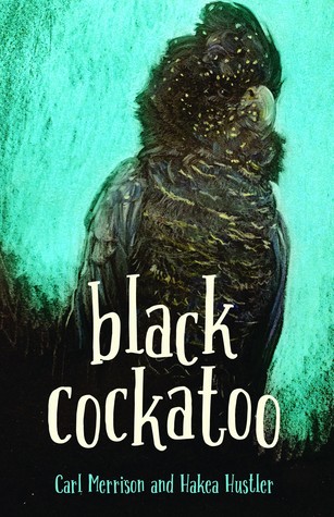 Studying The Black Cockatoo in Year 4/5 Literacy ♦ Port Noarlunga ...