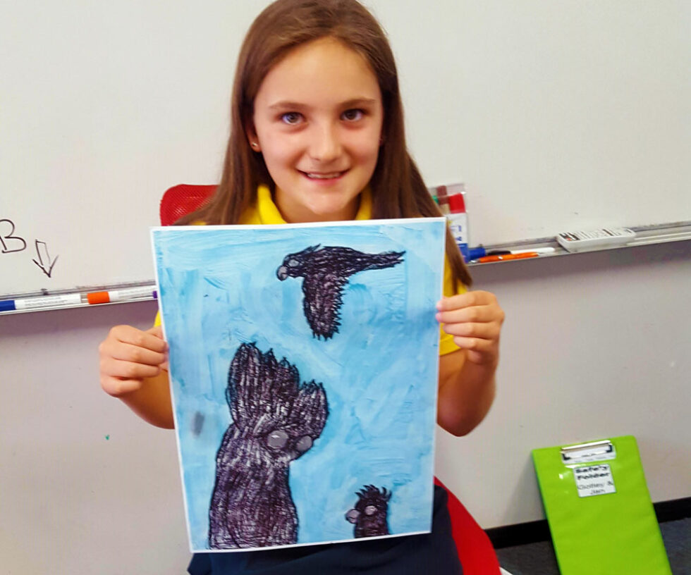Studying The Black Cockatoo in Year 4/5 Literacy ♦ Port Noarlunga ...