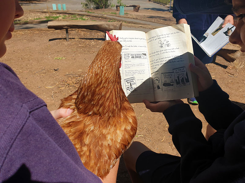 Books for Chooks ♦ Port Noarlunga Primary School
